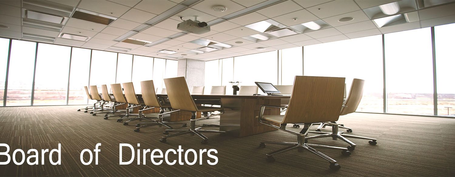 Board of Directors – ICICL